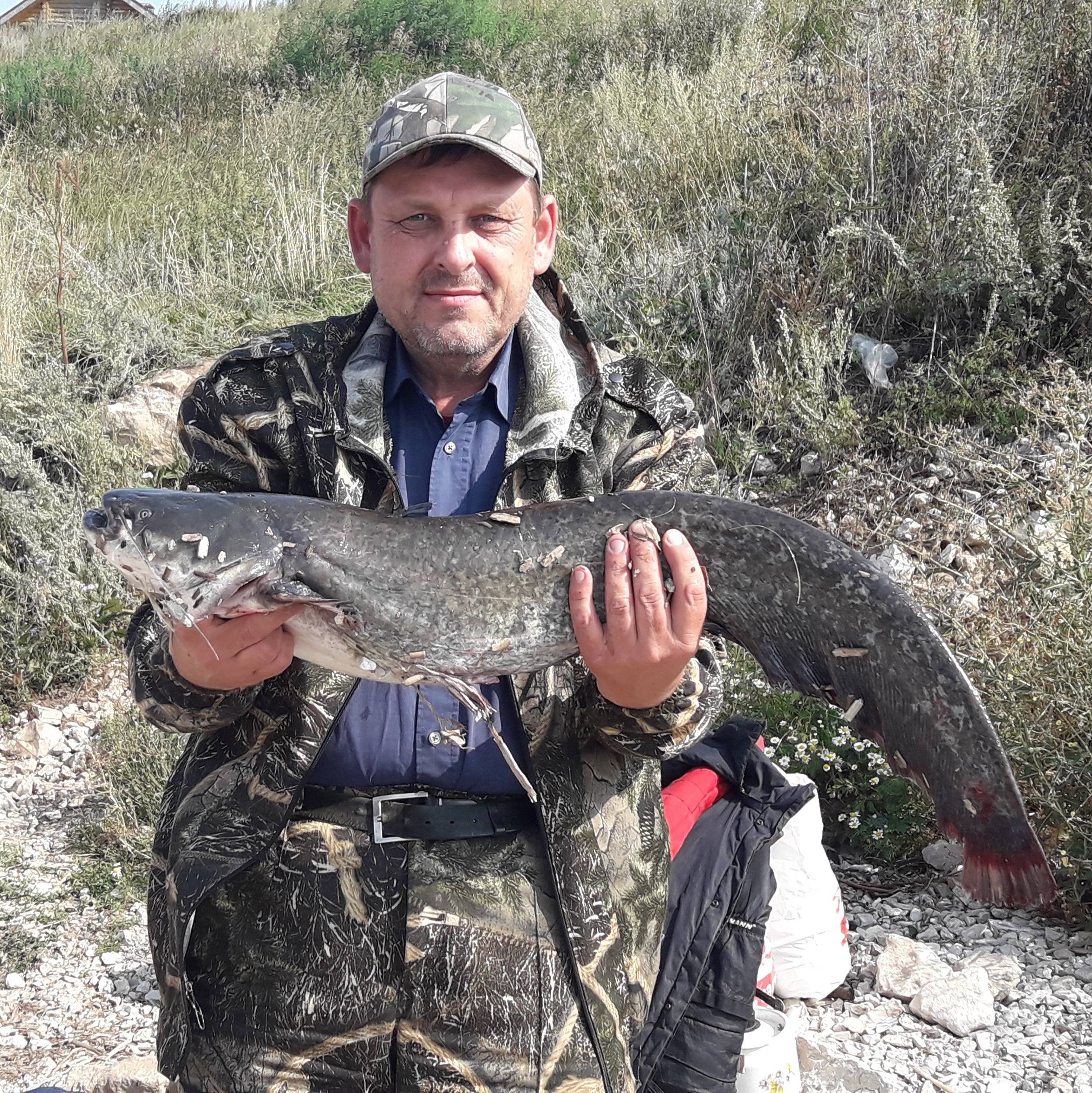 Иконка канала Карп Сомов