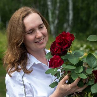 Иконка канала Терра Центр ландшафтного дизайна