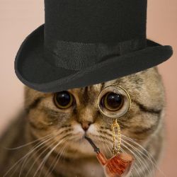 Иконка канала SOCAN_RUT