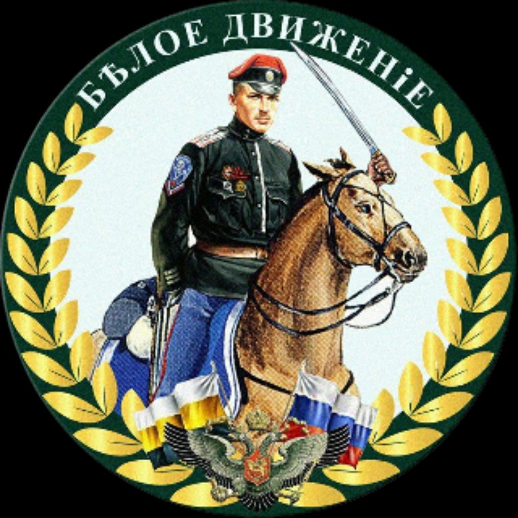 Иконка канала Бѣлое движеніе