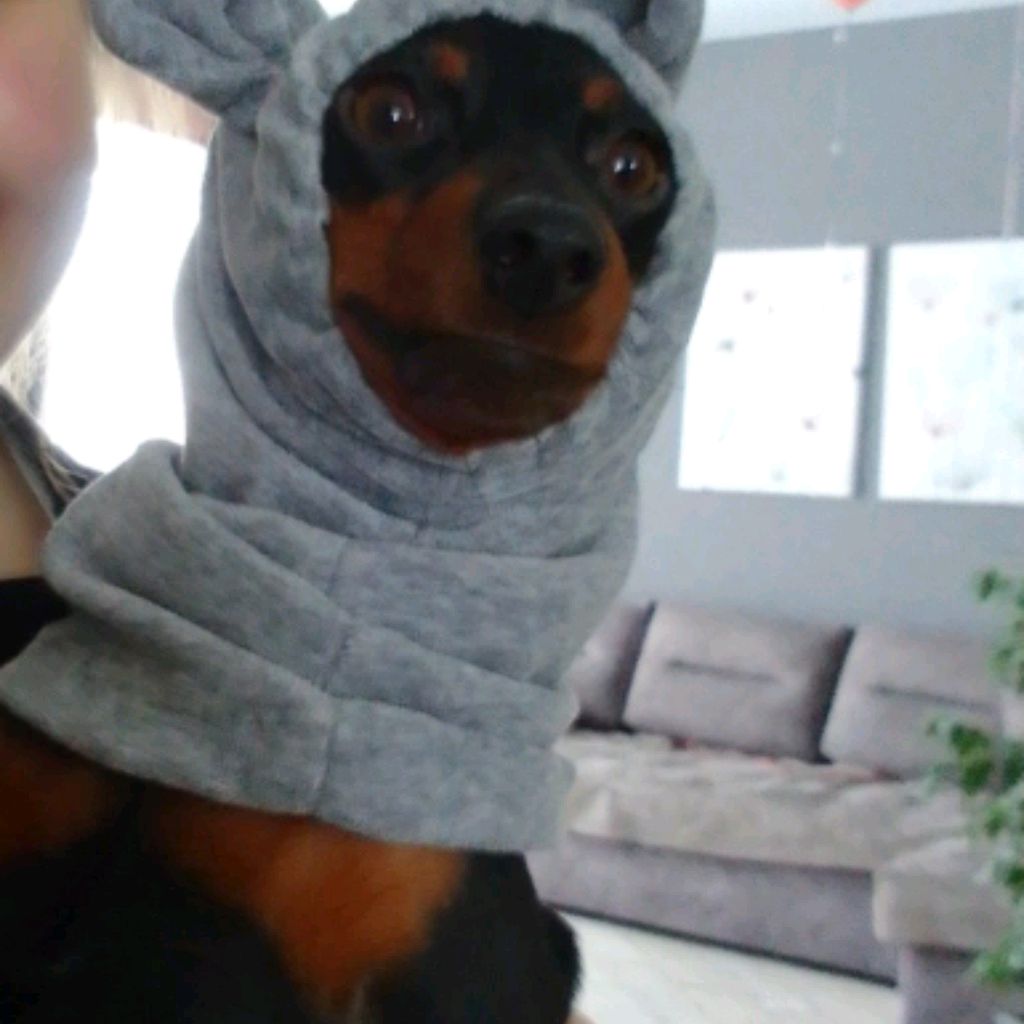 Канал Муша и семья смотри онлайн на RUTUBE!