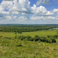 Иконка канала Vladislav Tareev