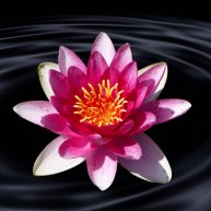 Иконка канала Расслабляющая музыка / Relax Music