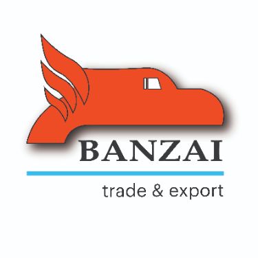 Иконка канала Бизнес с Китаем - Banzai Trade&Export