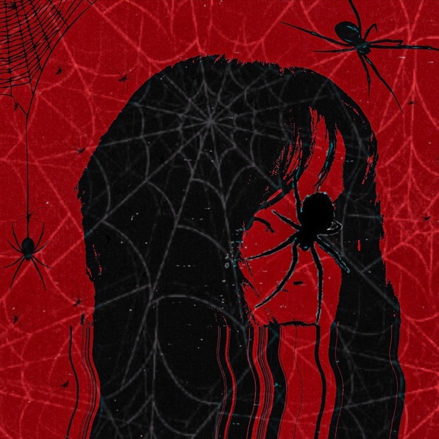 Иконка канала паучья нора