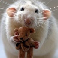 Иконка канала Marion Wilde