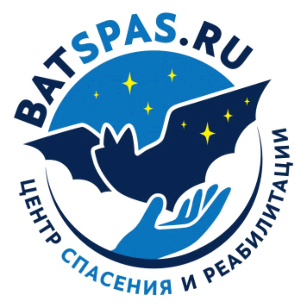Иконка канала batspas