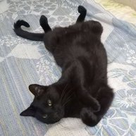 Иконка канала Салем&Co...