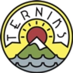 Иконка канала TERNIKS