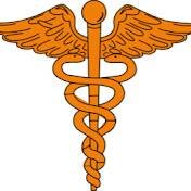 Иконка канала Секреты долголетия