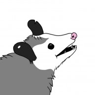 Иконка канала PlayingPossum