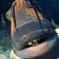 Иконка канала Nat3ixx