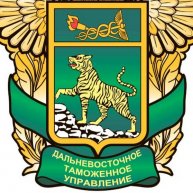 Иконка канала Дальневосточное таможенное управление