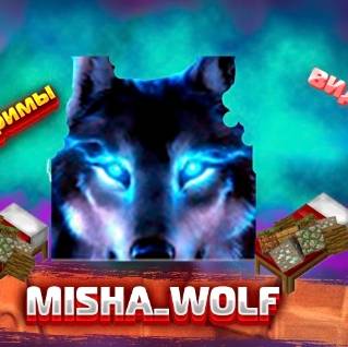 Иконка канала Misha Wolf