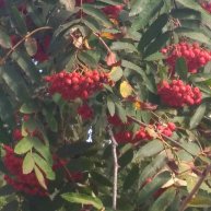 Иконка канала channel31215195