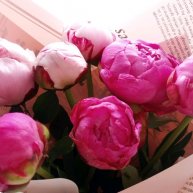 Иконка канала Ольга