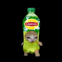 Иконка канала Lipton_trends