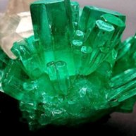 Иконка канала САМОЦВЕТЫ НА КУЗНЕЦКОМ