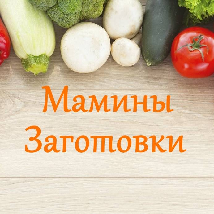 Иконка канала Елена Шохина