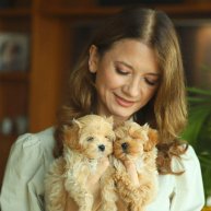 Иконка канала Мальтипу Honey Club | Лина Ханни кинолог