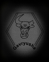 Иконка канала Gavryusha_