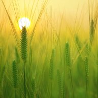 Иконка канала AleTi