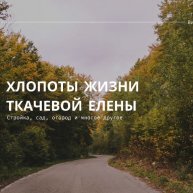 Иконка канала Хлопоты жизни Елены Ткачевой