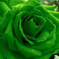 Иконка канала музыкальные открытки