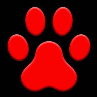 Иконка канала Кутята.рф - Все о собаках