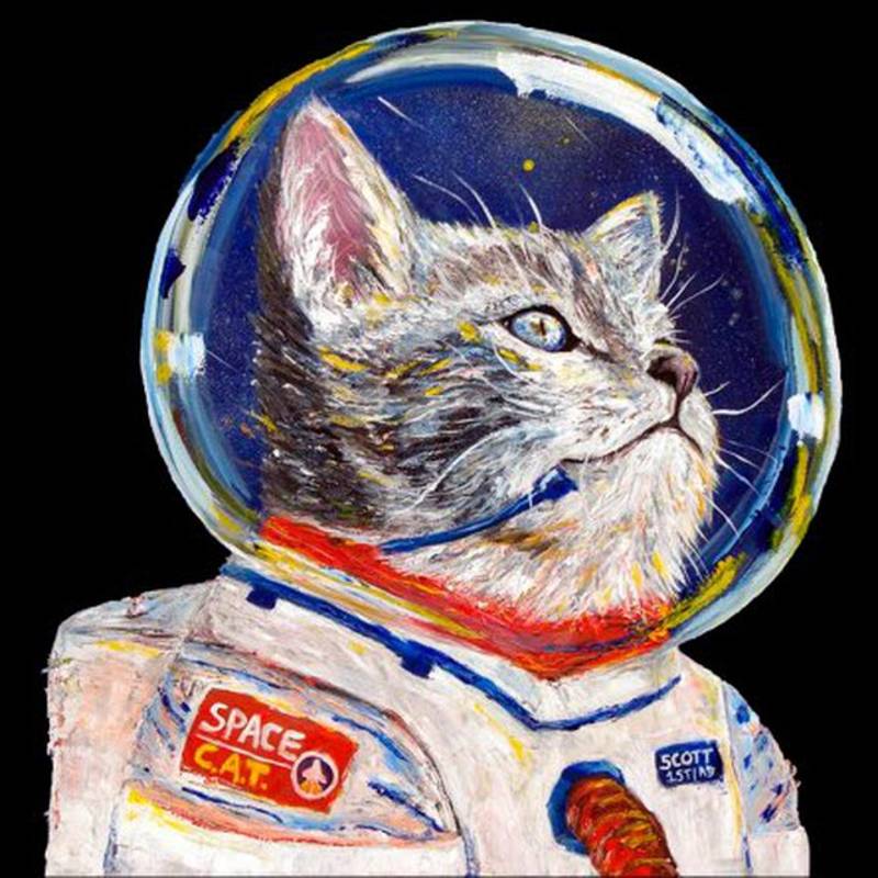 Иконка канала Startup Studio NSU