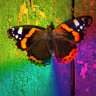 Иконка канала Релакс • Онлайн 🍀