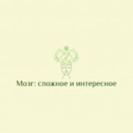 Иконка канала Мозг: сложное и интересное