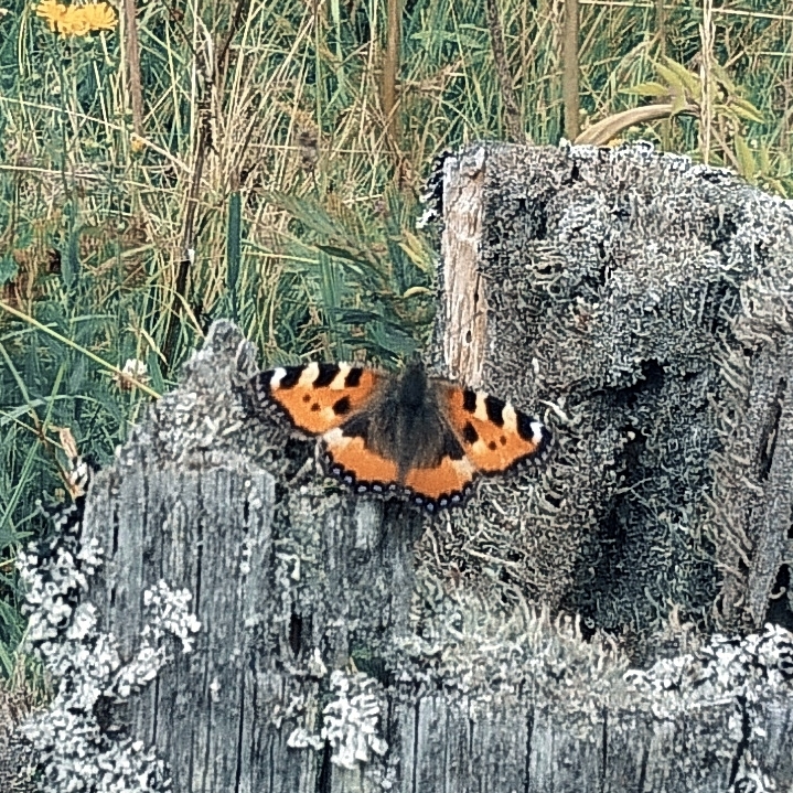 Иконка канала Жанна Каташкина