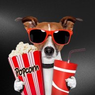 Иконка канала Краткий Пёс| Краткие пересказы фильмов