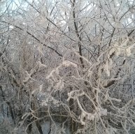 Иконка канала Светлана Подклетнова