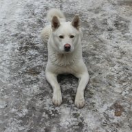 Иконка канала VVV