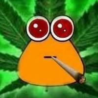 Иконка канала Vellev