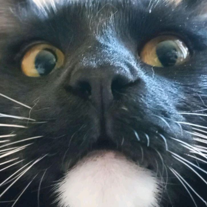 Иконка канала ЯРД ГЕЙМИНГ