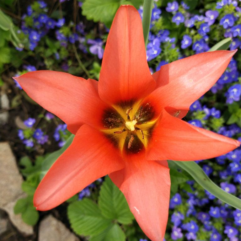 Иконка канала Тётя Лена так видит