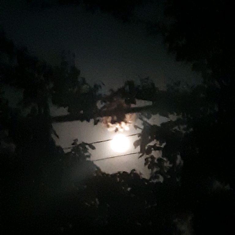 Иконка канала DipperStepan 56k