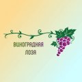 Иконка канала Виноградная лоза