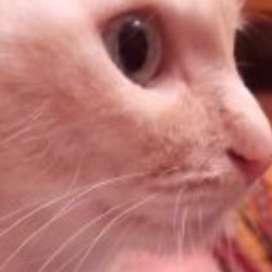 Иконка канала channel34448781