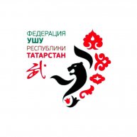 Иконка канала Федерация УШУ Республики Татарстан