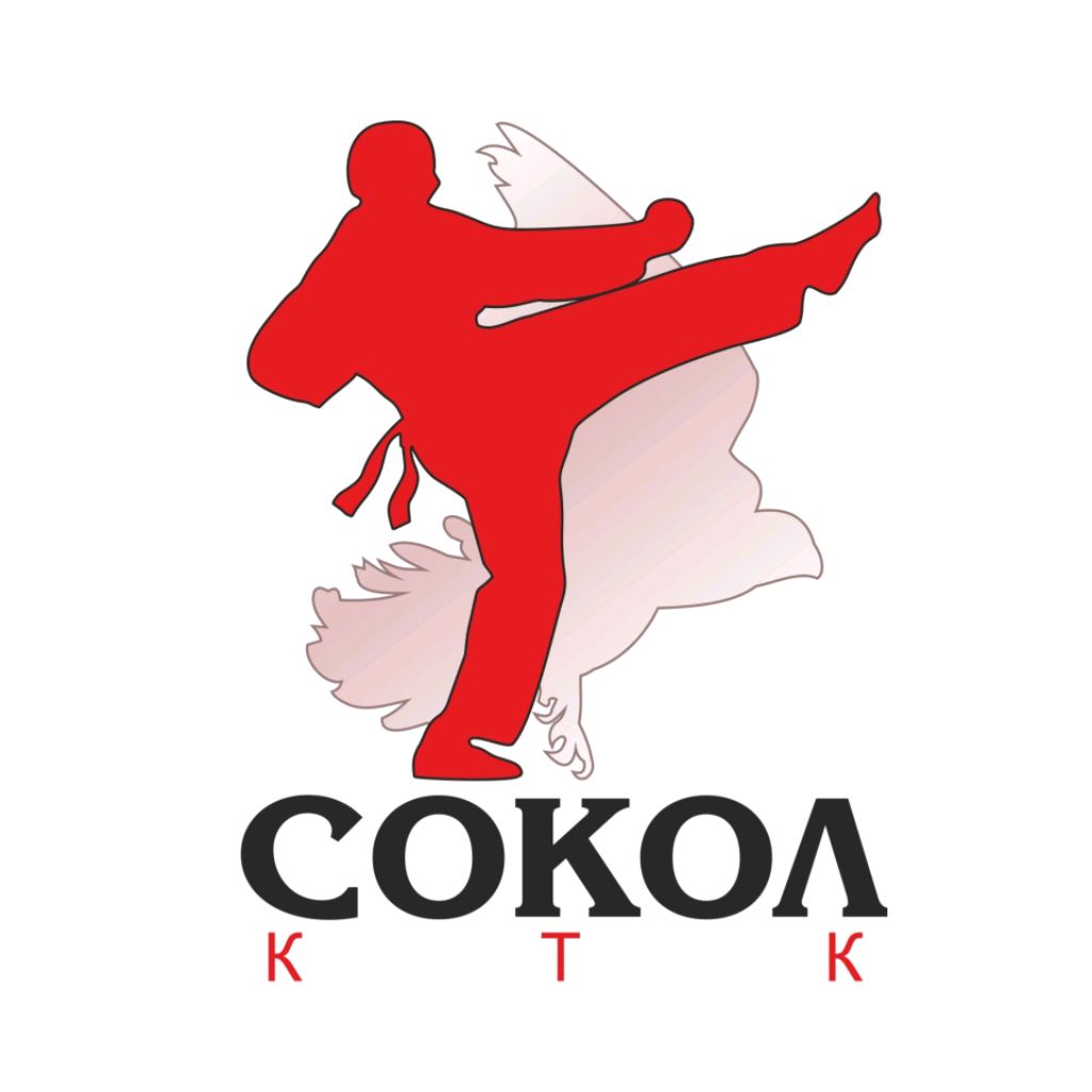 Иконка канала Клуб традиционного карате Сокол