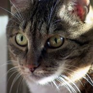 Иконка канала Павел Маркин