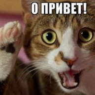 Иконка канала Прикольные Смешные Животные