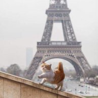 Иконка канала французский для всех