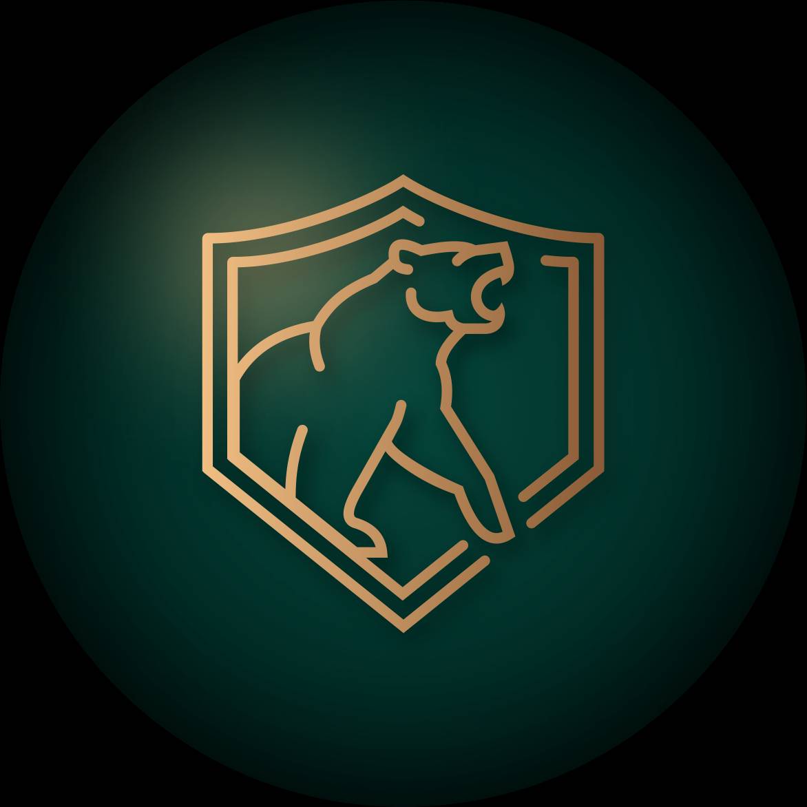 Иконка канала ПРАВЭКС |Банкротство физических лиц