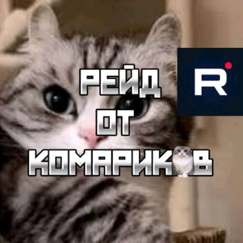 Иконка канала Рейд от Комариков | Rutube