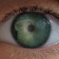 Иконка канала rutube_account_637156